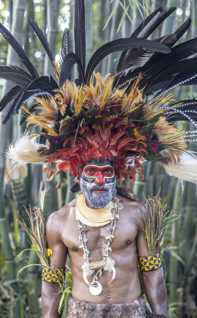 The Wii Towai Waterfall Tribal Eco Lodge - tribes of papua new guinea